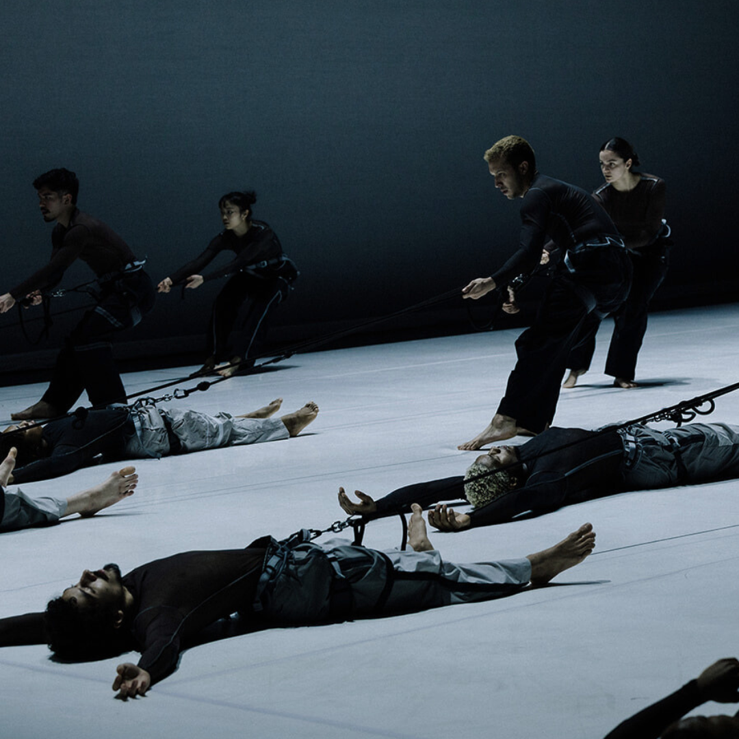 Dancers - Ballet BC Vancouver - Artists of Ballet BC